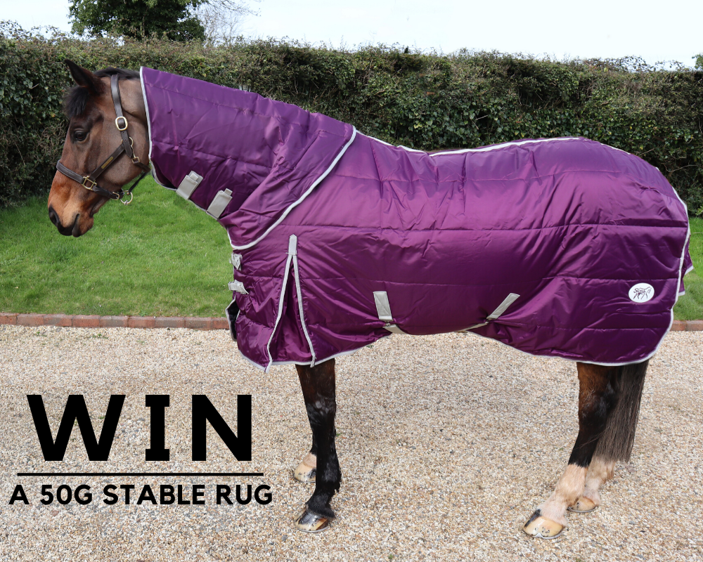 🎉 WIN A 50G SWISH STABLE RUG 🎉⁠ | Swish Equestrian
