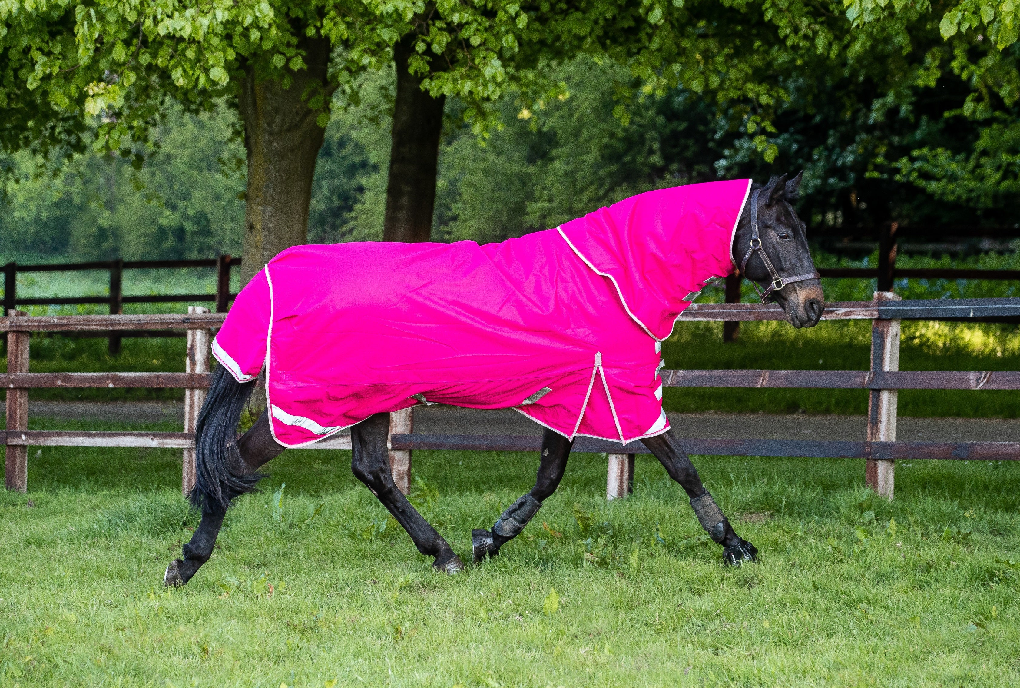 Spring / Summer 2020 Collection - Available Now! | Swish Equestrian