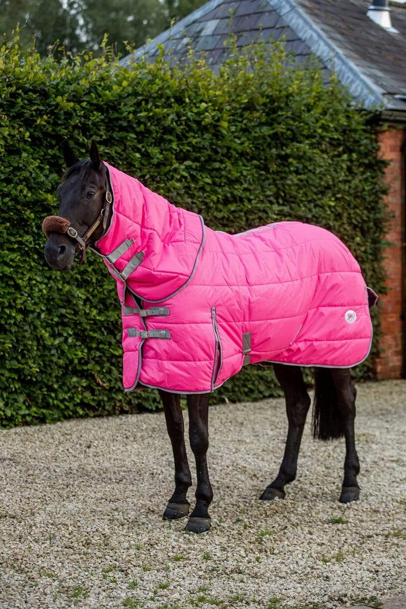 Top Picks For Winter Stable Rugs | Swish Equestrian