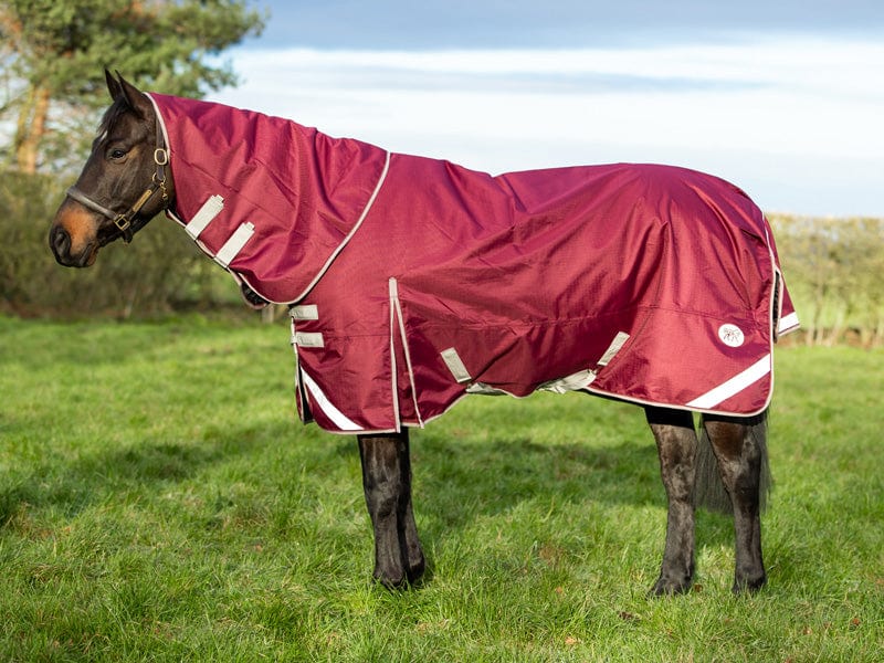 50g Detachable Neck Turnout Rug - Burgundy | Swish Equestrian