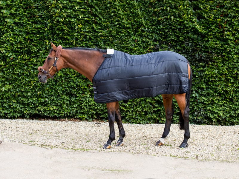 50g Horse Rug Liner | Swish Equestrian