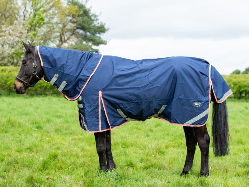 Turnout Rugs | Swish Equestrian