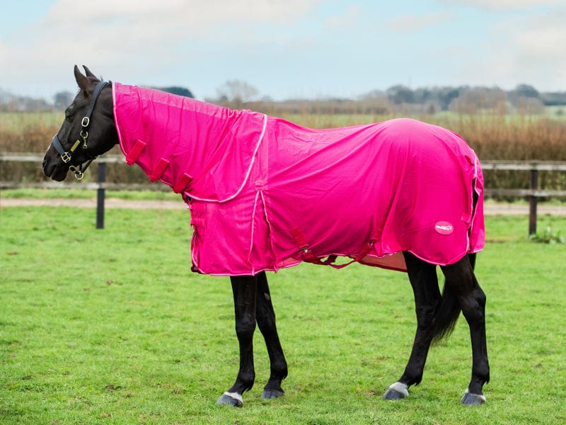 Mesh Fly Rug - Pink | Swish Equestrian