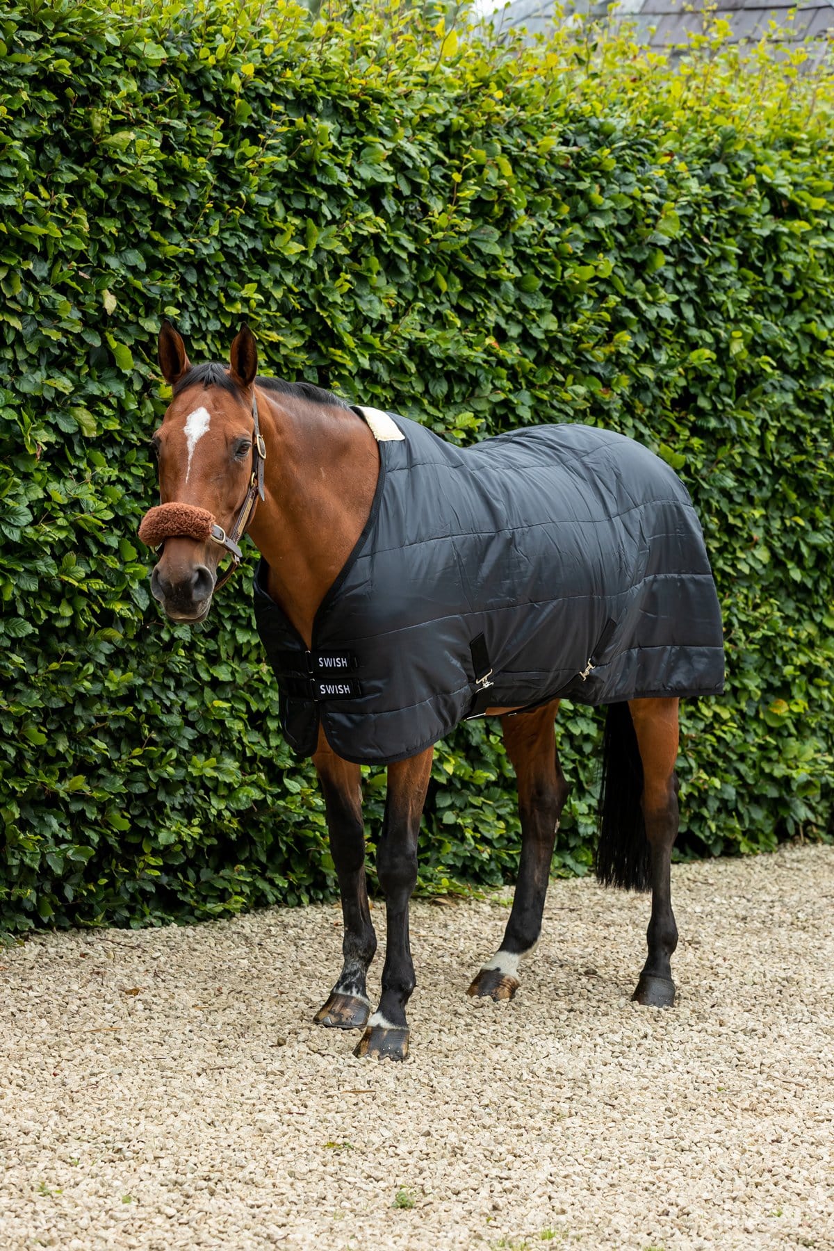 100g Horse Under Rug With Surcingles | Swish Equestrian